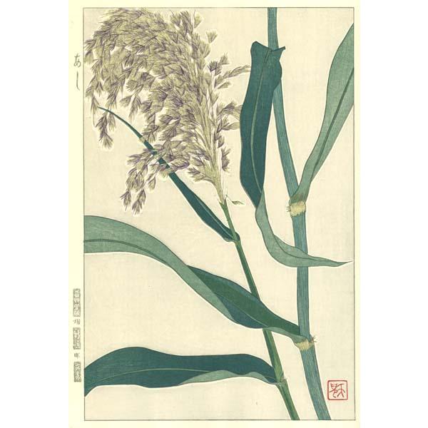 商品発送元：木版画 芸艸堂　Woodblock print UNSODOおもちゃ・ホビー・ゲーム、アート・美術品・骨董品・民芸品、絵画、版画お部屋に四季の彩りを運びます日本の四季は美しいと言われます。それもひとえに木々や草たちが花の姿に託し...