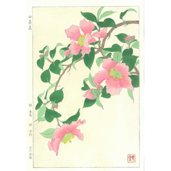 商品発送元：木版画 芸艸堂　Woodblock print UNSODOおもちゃ・ホビー・ゲーム、アート・美術品・骨董品・民芸品、絵画、版画お部屋に四季の彩りを運びます日本の四季は美しいと言われます。それもひとえに木々や草たちが花の姿に託し...
