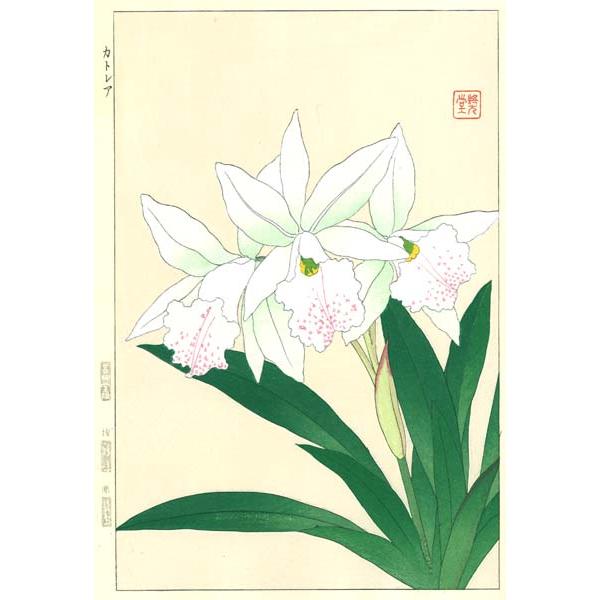 商品発送元：木版画 芸艸堂　Woodblock print UNSODOおもちゃ・ホビー・ゲーム、アート・美術品・骨董品・民芸品、絵画、版画お部屋に四季の彩りを運びます日本の四季は美しいと言われます。それもひとえに木々や草たちが花の姿に託し...