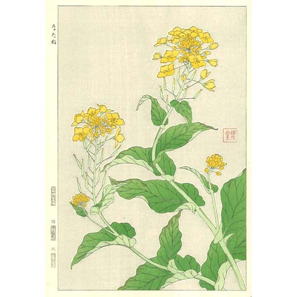 商品発送元：木版画 芸艸堂　Woodblock print UNSODOおもちゃ・ホビー・ゲーム、アート・美術品・骨董品・民芸品、絵画、版画お部屋に四季の彩りを運びます日本の四季は美しいと言われます。それもひとえに木々や草たちが花の姿に託し...