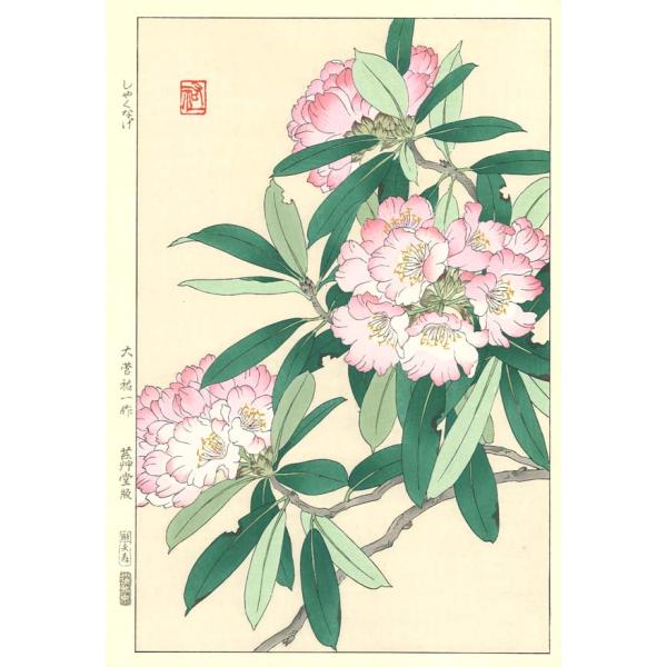 商品発送元：木版画 芸艸堂　Woodblock print UNSODOおもちゃ・ホビー・ゲーム、アート・美術品・骨董品・民芸品、絵画、版画お部屋に四季の彩りを運びます日本の四季は美しいと言われます。それもひとえに木々や草たちが花の姿に託し...