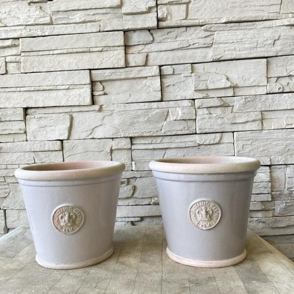 商品発送元：橋本種苗園オンラインストアフラワー・ガーデニングキューガーデンコレクションはロンドン南西部に立地する宮殿併設の王立植物園です。250年の歴史を持つ世界でもっとも有名な植物園でユネスコ世界遺産にも登録されています。キューガーデンに...