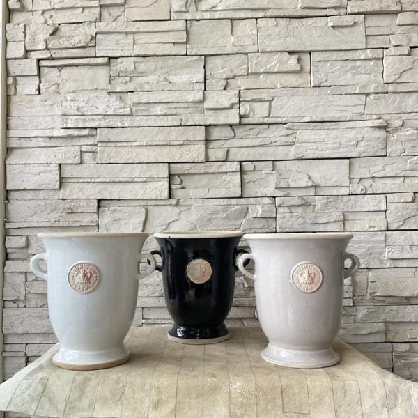 商品発送元：橋本種苗園オンラインストアフラワー・ガーデニングキューガーデンコレクションはロンドン南西部に立地する宮殿併設の王立植物園です。250年の歴史を持つ世界でもっとも有名な植物園でユネスコ世界遺産にも登録されています。キューガーデンに...