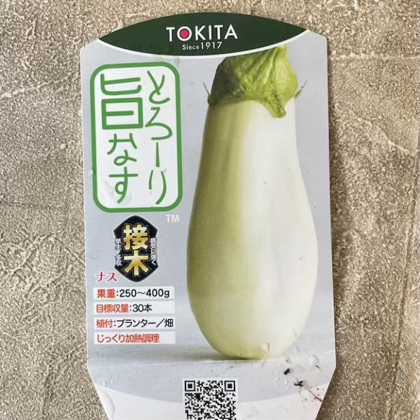 商品発送元：橋本種苗園オンラインストア家電・AV機器・カメラ【野菜苗】接木　とろーり旨なす  ※写真は4月中旬の様子です。時期により草丈や状態は写真と異なります。※5月1日&amp;#12316;14日の間の野菜苗の発送・お問い合わせの返信...
