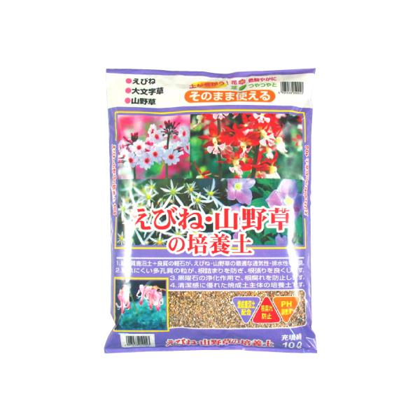 商品発送元：Gardening　園芸と土　刀川平和　本店フラワー・ガーデニング、ガーデニング、用土・肥料根強い人気の山野草は、野趣あふれる外観と、植え込む容器の組み合わせによって、観るだけで大自然を体感できるいやし系の植物といえるでしょう。...