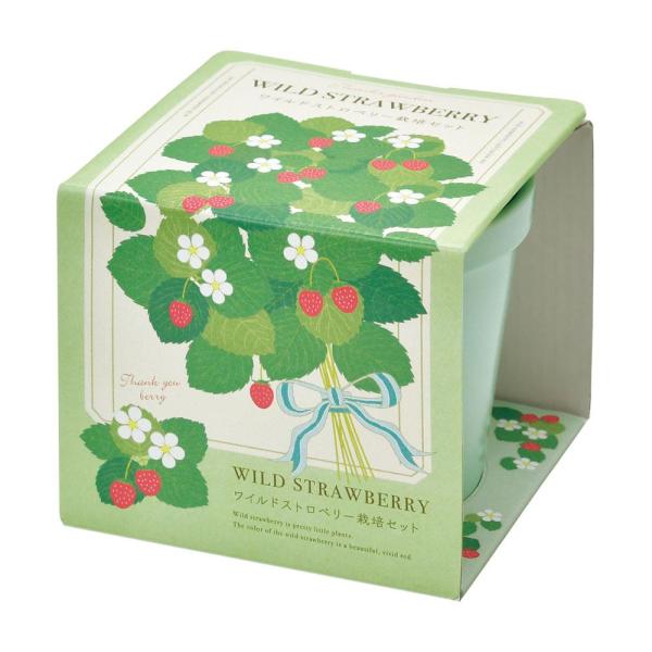 商品発送元："ITANSE農園セレクト通販"Healthy Herb &amp; Plants &amp; Foフラワー・ガーデニング、ガーデニング、種子・球根、栽培セットかわいいポット付き！培養土が付属しており、これひとつでお手軽にガーデ...