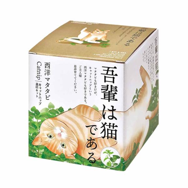 商品発送元："ITANSE農園セレクト通販"Healthy Herb &amp; Plants &amp; Foフラワー・ガーデニング、ガーデニング、種子・球根、栽培セット【商品の特徴】「西洋マタタビ（キャットニップ）」と呼ばれる猫が好むハ...