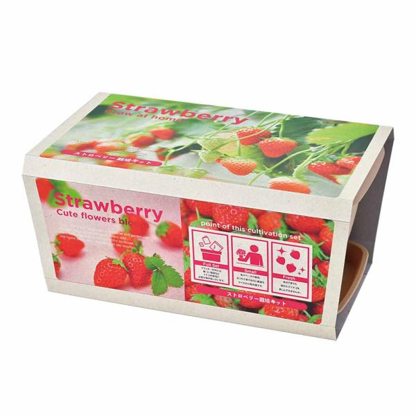 商品発送元："ITANSE農園セレクト通販"Healthy Herb &amp; Plants &amp; Foフラワー・ガーデニング、ガーデニング、種子・球根、栽培セット【商品の特徴】「F1四季なりいちご」を手軽に育てられる栽培キットです...