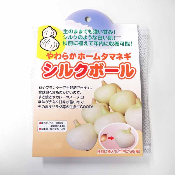 商品発送元："ITANSE農園セレクト通販"Healthy Herb &amp; Plants &amp; Foフラワー・ガーデニング、ガーデニング、種子・球根、野菜【品種特徴】やわらかホームタマネギ「シルクボール」は、白く美しい肌と、辛味...