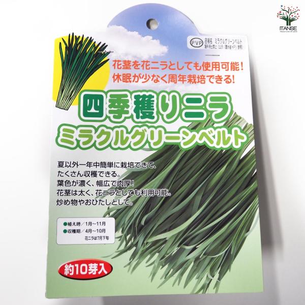商品発送元："ITANSE農園セレクト通販"Healthy Herb &amp; Plants &amp; Foフラワー・ガーデニング、ガーデニング、種子・球根、野菜【PVP登録品種/海外への持出や営利目的の増殖は禁止されています】 【品種...