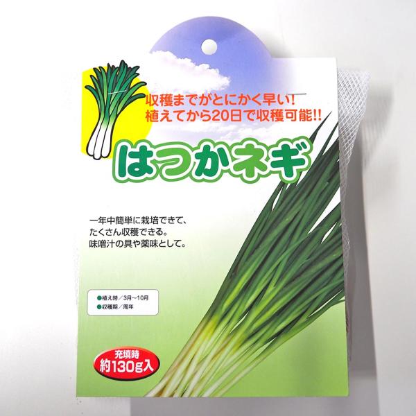 商品発送元："ITANSE農園セレクト通販"Healthy Herb &amp; Plants &amp; Foフラワー・ガーデニング、ガーデニング、種子・球根、野菜【品種特徴】 収穫までがとにかく早く、植え付けから約20日で収穫可能なネギ...