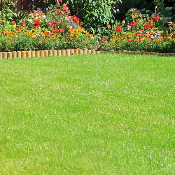 商品発送元："ITANSE農園セレクト通販"Healthy Herb &amp; Plants &amp; Foフラワー・ガーデニング、ガーデニング、苗物、花【品種特徴】 西洋芝は丈夫で強く美しく、家庭でも扱いやすいのが特徴です。 ケンタッ...