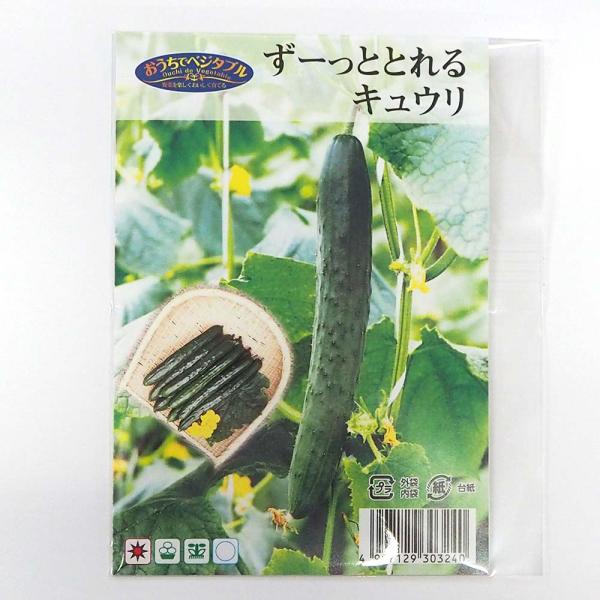 商品発送元："ITANSE農園セレクト通販"Healthy Herb &amp; Plants &amp; Foフラワー・ガーデニング、ガーデニング、種子・球根、野菜【品種特徴】ずーっと収穫が楽しめる、元気いっぱいのきゅうりです。一口サイズ...