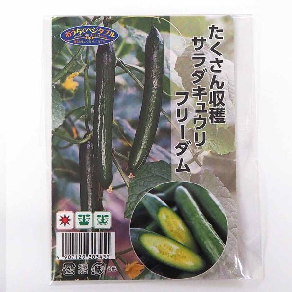 商品発送元："ITANSE農園セレクト通販"Healthy Herb &amp; Plants &amp; Foフラワー・ガーデニング、ガーデニング、種子・球根、野菜【品種特徴】フリーダムは、家庭菜園でたっぷり収穫できるサラダ用キュウリの品...