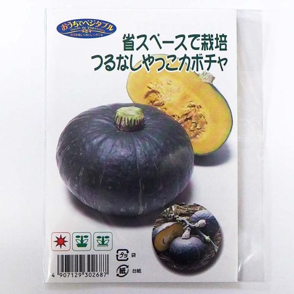 商品発送元："ITANSE農園セレクト通販"Healthy Herb &amp; Plants &amp; Foフラワー・ガーデニング、ガーデニング、種子・球根、野菜【品種特徴】省スペース栽培に適したつるなしタイプのカボチャで、ホクホクとし...