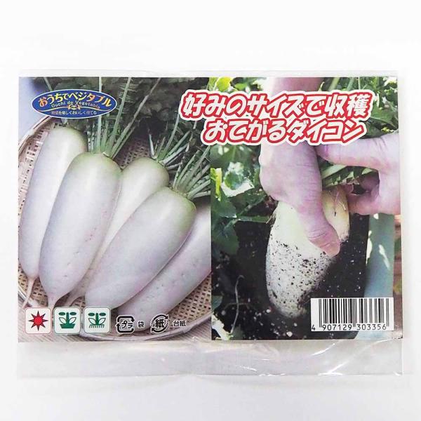 商品発送元："ITANSE農園セレクト通販"Healthy Herb &amp; Plants &amp; Foフラワー・ガーデニング、ガーデニング、種子・球根、野菜【品種特徴】「おてがるダイコン」は、短形でコンパクトながら本格的な味わいが...