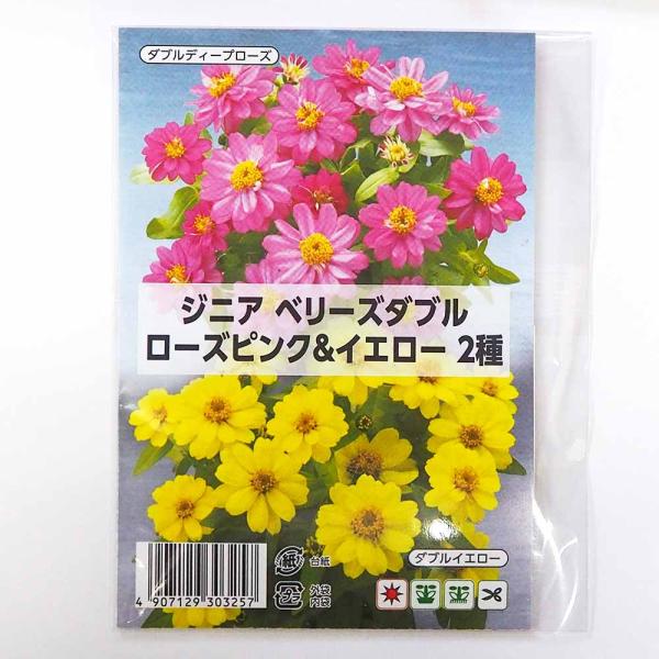商品発送元："ITANSE農園セレクト通販"Healthy Herb &amp; Plants &amp; Foフラワー・ガーデニング、ガーデニング、種子・球根、野菜【PVP登録品種/第29478号：第29480号/海外への持出や営利目的の...