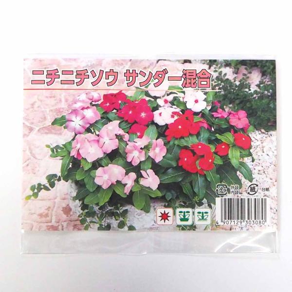 商品発送元："ITANSE農園セレクト通販"Healthy Herb &amp; Plants &amp; Foフラワー・ガーデニング、ガーデニング、種子・球根、野菜【品種特徴】 日本の夏の暑さにも負けず、鮮やかな花を長期間楽しめる人気のニ...