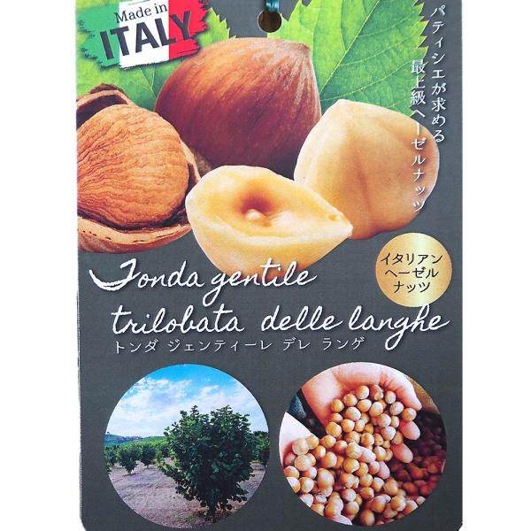 商品発送元："ITANSE農園セレクト通販"Healthy Herb &amp; Plants &amp; Foフラワー・ガーデニング、ガーデニング、苗物、野菜【品種特徴】 「パティシエが求める最上級ヘーゼルナッツ」として名高い、イタリア原...