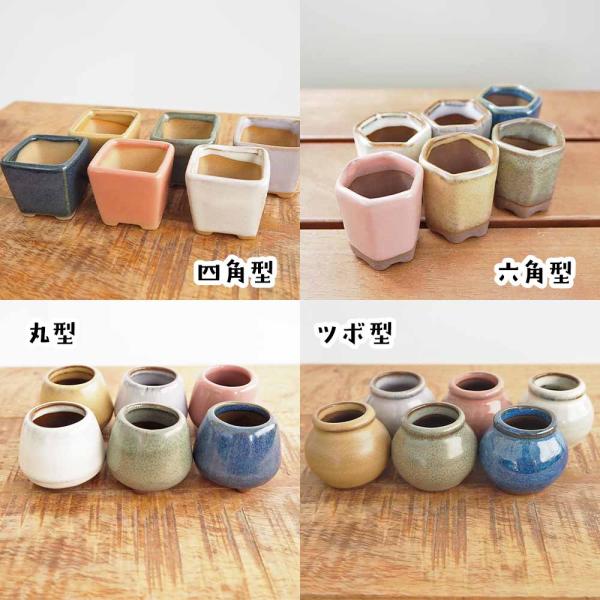 商品発送元："ITANSE農園セレクト通販"Healthy Herb &amp; Plants &amp; Foフラワー・ガーデニング、ガーデニング、用土・肥料【商品特徴】ミニ盆栽や豆盆栽、多肉植物、山野草などの栽培に最適な、小さな陶器鉢の...