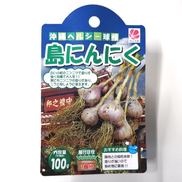 商品発送元："ITANSE農園セレクト通販"Healthy Herb &amp; Plants &amp; Foフラワー・ガーデニング、ガーデニング、種子・球根、野菜言わずと知れた様々な料理に欠かせないスタミナ野菜！葉にもニンニクの香りがあ...