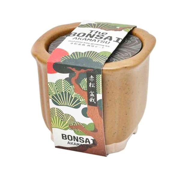 商品発送元："ITANSE農園セレクト通販"Healthy Herb &amp; Plants &amp; Foフラワー・ガーデニング、ガーデニング、種子・球根、栽培セット【セット内容】小鉢：1個 (高さ：7.5cm 直径：8.5cm)種：...