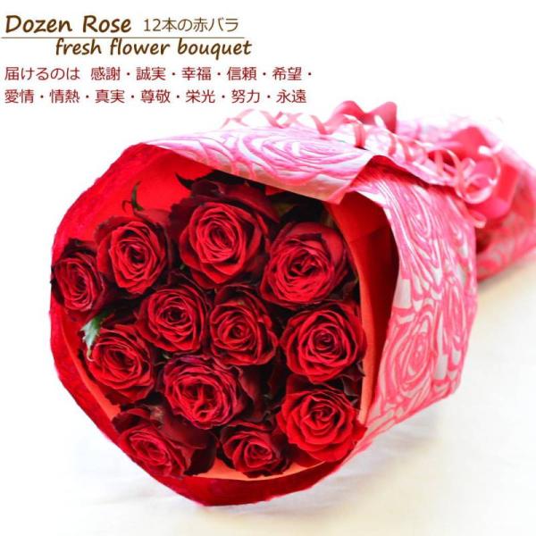 商品発送元：ＫＡＭＯＥフラワー・ガーデニング12本の赤薔薇                                     ROSE        RED ROSE12　        　        〜fresh flower ...