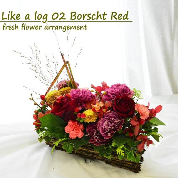 商品発送元：ＫＡＭＯＥフラワー・ガーデニング、フラワー、アレンジメントお祝い・行事・贈答用、お祝い　　 　　　                                                                 ...