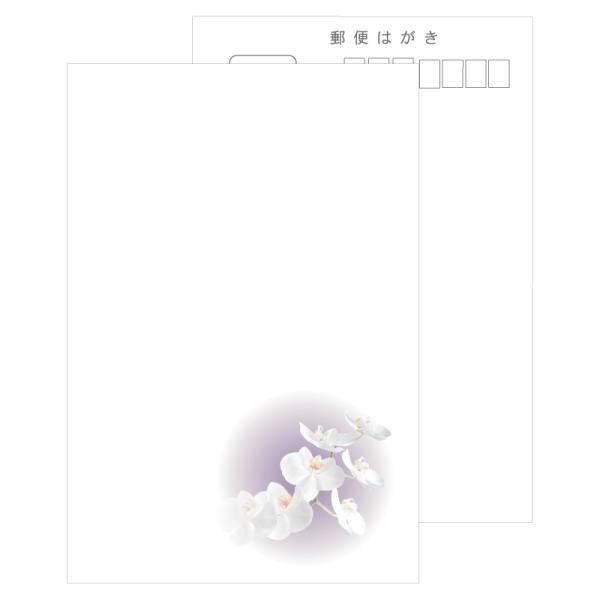 商品発送元：帰蝶堂 挨拶状はがき印刷2営業日以内に発送いたします（土日祝・お盆年末年始など長期連休は除く）その他弔事喪中 はがき用紙 胡蝶蘭デザイン【送料無料】（商品について）弔事 喪中 寒中見舞い 法要 挨拶状 はがき 葉書用紙郵便番号枠...