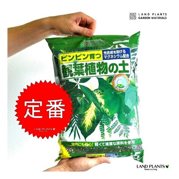 商品発送元：LAND PLANTSフラワー・ガーデニング失敗しない。失敗させない。ピンピン育つ観葉植物専用の土！『 栄養満点の軽くて安心・安全な土です♪ 　室内用の土に最適！ 』観葉植物専用の土として有名です！