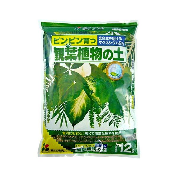 商品発送元：LAND PLANTSフラワー・ガーデニング失敗しない。失敗させない。ピンピン育つ観葉植物専用の土！『 栄養満点の軽くて安心・安全な土です♪ 　室内用の土に最適！ 』観葉植物専用の土として有名です！