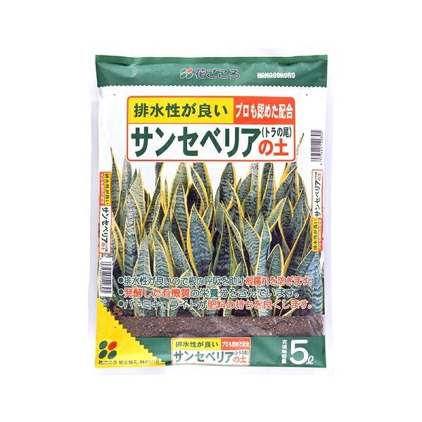 商品発送元：LAND PLANTSフラワー・ガーデニング