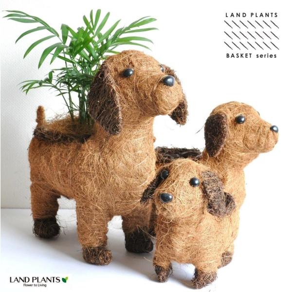 商品発送元：LAND PLANTSフラワー・ガーデニング『 季節のお花と、可愛いワンちゃんが玄関で　お出迎え♪ 』　　　とっても可愛いワンちゃんが入荷しましたー！　人気の商品ですお早めに！☆ 動物好きのお友達にプレゼントしませんか？ ☆本当...