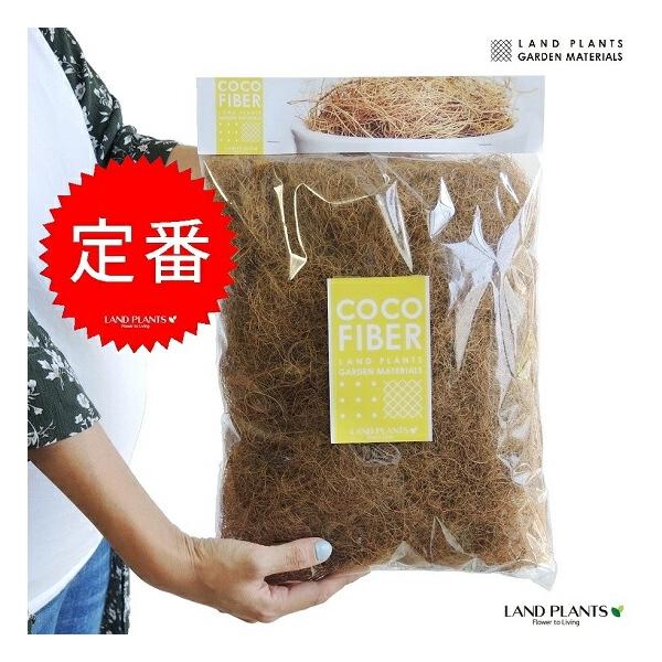 商品発送元：LAND PLANTSフラワー・ガーデニング「土に触れさせない！　お子様やワンちゃん・ネコちゃんにも清潔！安心！」ショッピングモールの観葉植物などで見かけるモジャモジャはこれです♪