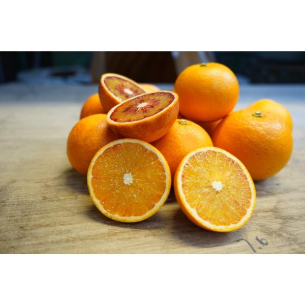商品発送元：鹿島みかん村フード・菓子※栽培方法は、有機と同様ですが、ＪＡＳ認証取得の条件期間を満たしていない（転換期間中）畑で栽培したものになります。※化学農薬・化学肥料・除草剤は使用しておりません。（外観が悪い訳あり、サイズ混合）タロッコ...