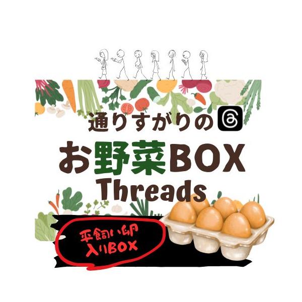 商品発送元：ココショク-日本の手仕事雑貨北海道・沖縄以外全国送料770円。大変申し訳ございませんが、指定日時はお選びいただけません。最短順次発送となります。フード・菓子、野菜スレッズのフォロワーの皆様、ご来店誠にありがとうございます。こちら...