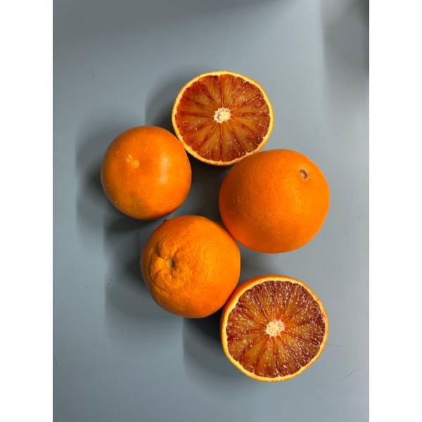 商品発送元：ココショク-日本の手仕事雑貨フード・菓子、野菜【貴重な国産ブラッドオレンジ】輸入が主流のブラッドオレンジ/タロッコ種　サイズバラバラ、収穫時落下果混ざります！めちゃくちゃうまい！天国の香り★少しコンパクトな約2.3kg、約２０ケ...