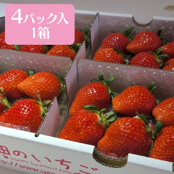 商品発送元：逸品 おとりよせ1箱(4パック入り)※収穫は、天候などに影響を受けやすいため、お届けにお時間をいただく場合がございます。尚、日にち指定は出来ません。【１月中旬より順次発送】フード・菓子先祖代々から受け継いだ鉾田市うさみ園の財産と...