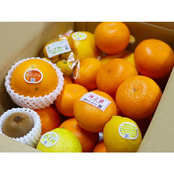 商品発送元：逸品 おとりよせ観音山育ち旬のフルーツ詰合せ※写真は一例です。※クール便※北海道・沖縄・離島は＋1100円頂戴致します。フード・菓子フルーツ大国、和歌山県紀の川市から、御注文いただいた時期の「旬！」のフルーツを、詰め合わせてお届...