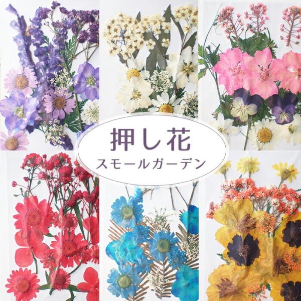 商品発送元：Partsworld　パーツワールドジュエリー・アクセサリー【商品説明】レジンクラフトや様々なハンドメイドアクセサリーに使える押し花のセット♪台紙サイズ：約9.5cm×約13cm程度(袋込み：約12cm×約17cm)１シート真空...