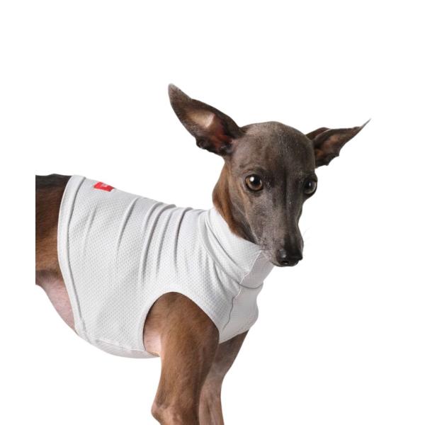 商品発送元：PEGION家電・AV機器・カメライタリアングレイハウンド専用にデザインされた高機能クーリングTシャツです。UV+ブロッキングと銀イオンコーティングを施した特殊素材を使用し、99.9%の抗菌・防臭効果を実現。通気性と速乾性に優れ...