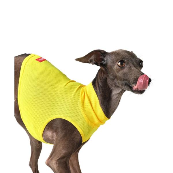 商品発送元：PEGION家電・AV機器・カメライタリアングレイハウンド専用にデザインされた高機能クーリングTシャツです。UV+ブロッキングと銀イオンコーティングを施した特殊素材を使用し、99.9%の抗菌・防臭効果を実現。通気性と速乾性に優れ...