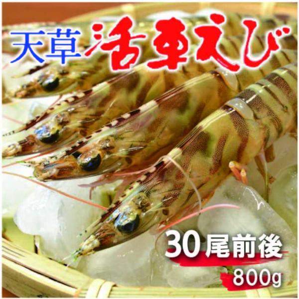 商品発送元：熊本天草特産品ショップお届け可能地域：関東、東海、関西、中国、四国、九州地方のみとなります。フード・菓子、水産物・水産加工品、エビ※交通渋滞での遅延予想から、5月１日（金）〜5月9日（土）までお届け分の活き車海老ご注文受付を停止...