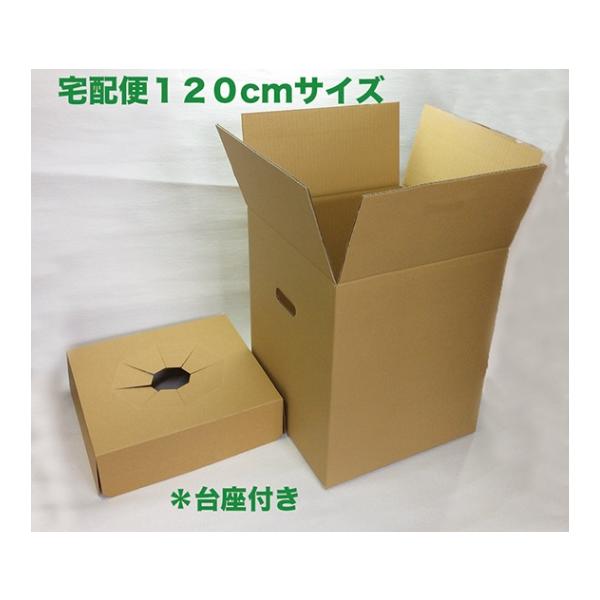 商品発送元：ラッピンググッズショップ本店　紙の広場＊この商品は代引き不可です。生活・インテリア・文具しっかり堅めのシンプルな無地ボックス10枚入。アレンジメントや鉢物、花束発送用に。台座付き。手穴付き。（この商品は代引き不可です。）