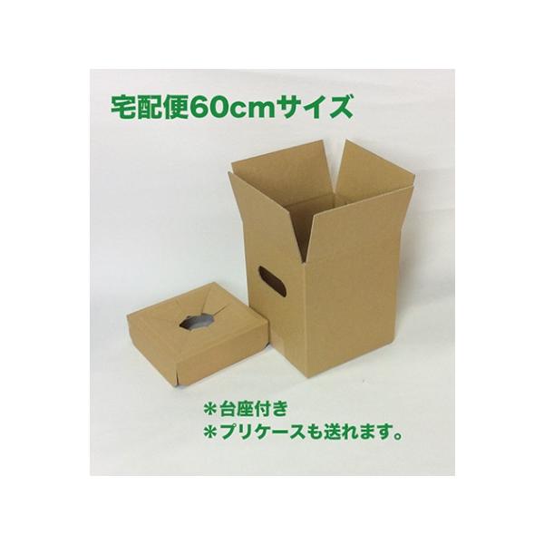 商品発送元：ラッピンググッズショップ本店　紙の広場生活・インテリア・文具しっかり堅めのシンプルな無地ボックス業務用60枚入。アレンジメントや鉢物、花束発送用に。プリザーブドフラワー、ソープフラワー発送用に。台座付き。手穴付き。