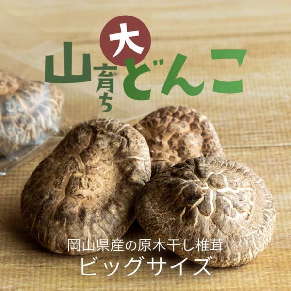 商品発送元：手仕事の店「清玩堂」｜リメイク／お米／手ぬぐいバッグ・靴・小物干し椎茸『山育ちどんこ&amp;#12316;20年仕込&amp;#12316;』のビッグサイズだけを詰め込んだ「山育ち大どんこ&amp;#12316;20年仕込&a...