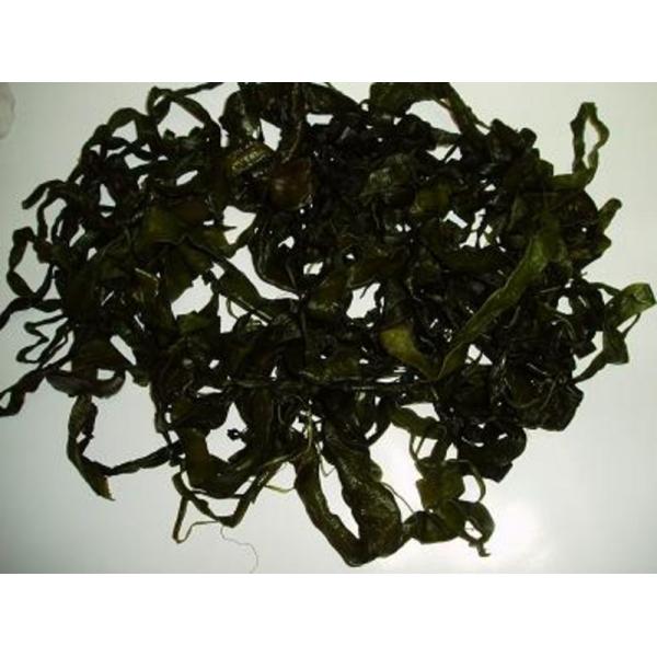 商品発送元：塩釜仲卸市場　東商店フード・菓子三陸の栄養満点な茎わかめです。約半日水に浸して塩抜きにし、おにつけ、油いため、漬物などいろいろな料理に使えます。コリコリ食感がたまらない一品です。