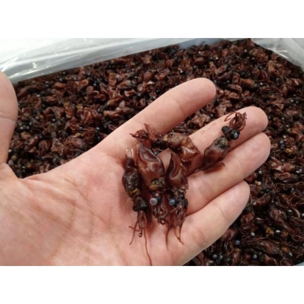 商品発送元：塩釜仲卸市場　東商店フード・菓子富山名産のホタルイカを鳥取にて煮干しに加工しました！一般的な魚醤に漬けて干した”いしる”とは異なり、ほたるいかをそのまま煮て干しただけの素材そのものの味です。そのままでも十分美味しく食べれますが煮...