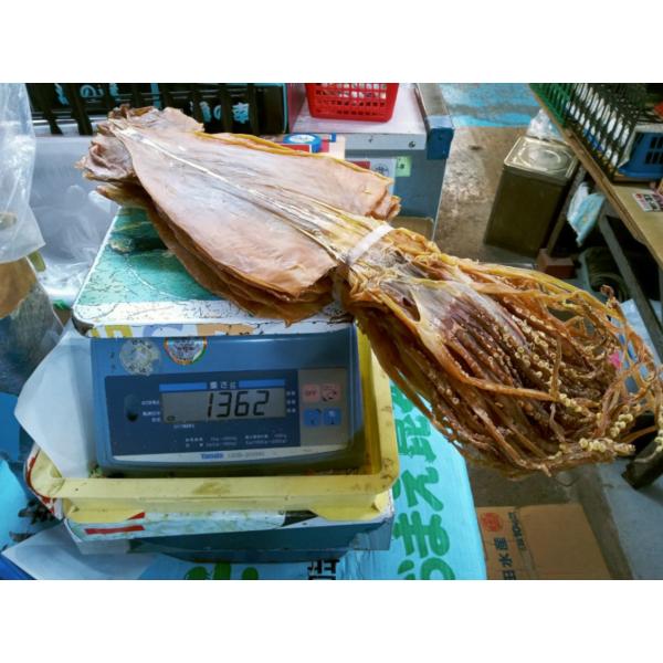 商品発送元：塩釜仲卸市場　東商店フード・菓子アルゼンチン原料のイカを北海道で加工しました！今やすっかりお目にかかれなくなった大きなサイズ10枚で1.3〜1.4kgもあるキングサイズです。これほどの大きさのするめは極少の貴重品となっています。...