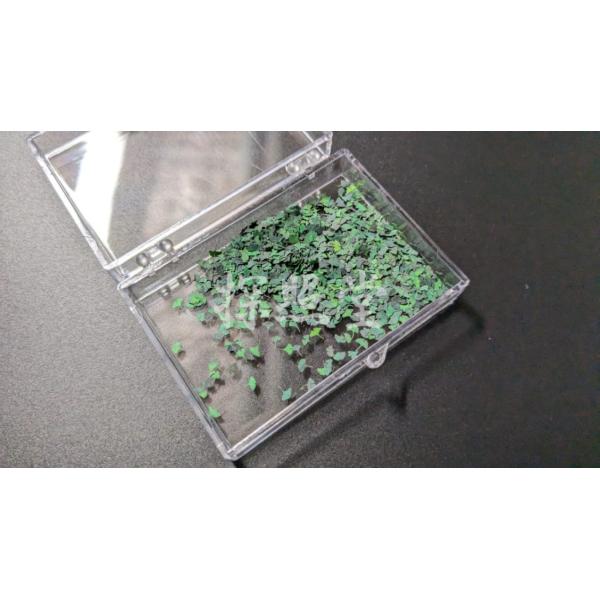 商品発送元：探照堂-TANSHO-DO-おもちゃ・ホビー・ゲーム、おもちゃ、プラモデル、ミリタリー1/35スケールのジオラマに最適な葉っぱです。全く同じ色・形状ではなく複数の色見、形状が入ったものなので散りばめるだけでリアルなジオラマになります。